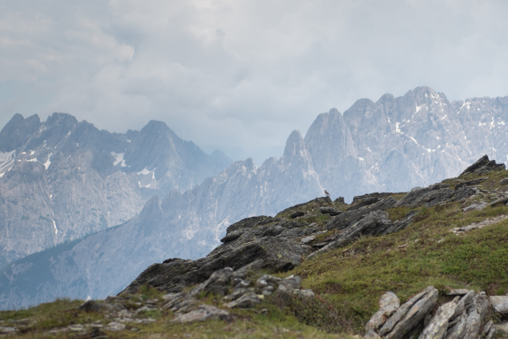 Austria: MOUNTAIN HIGH – wanderwarbler